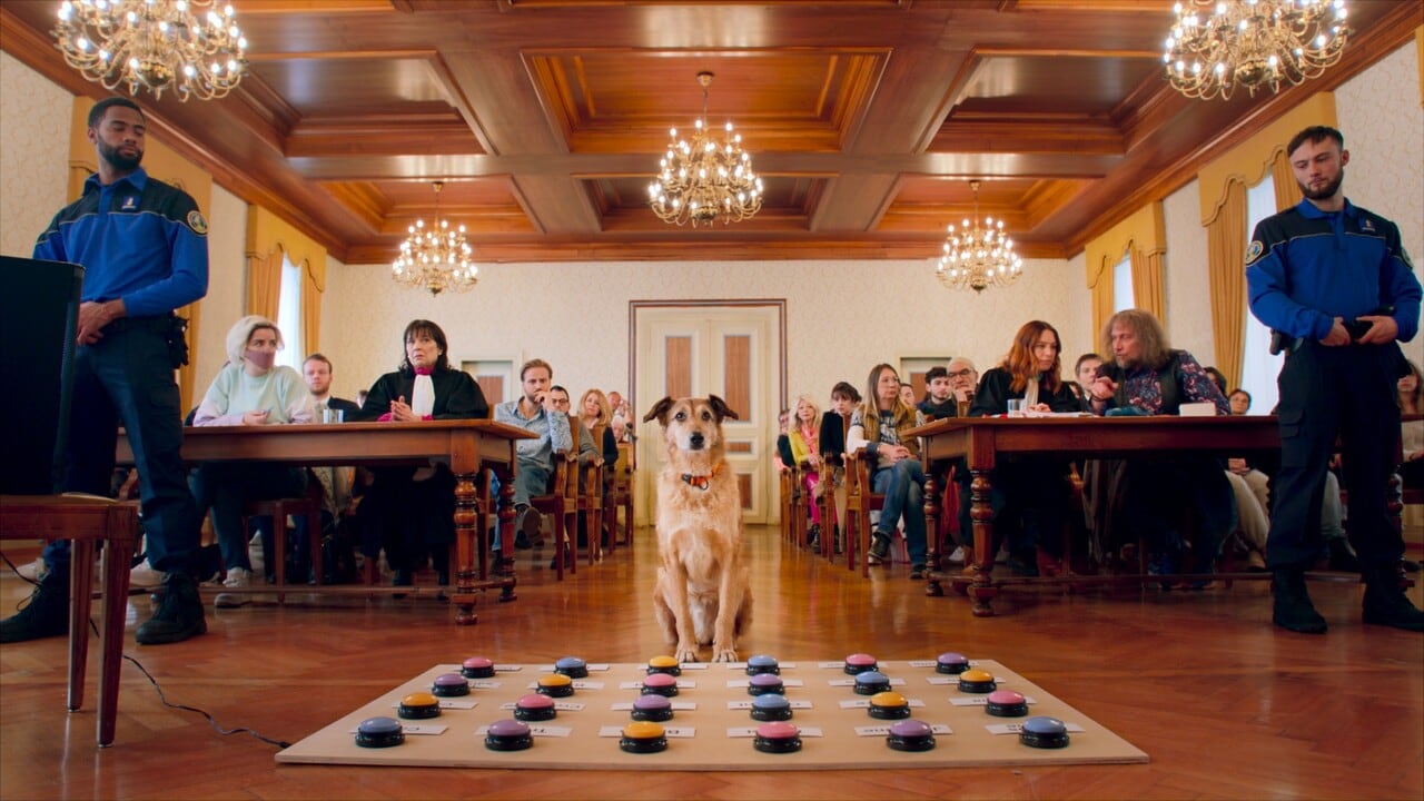 Dog on Trial (2024) - Film and sessions - Pathé Switzerland